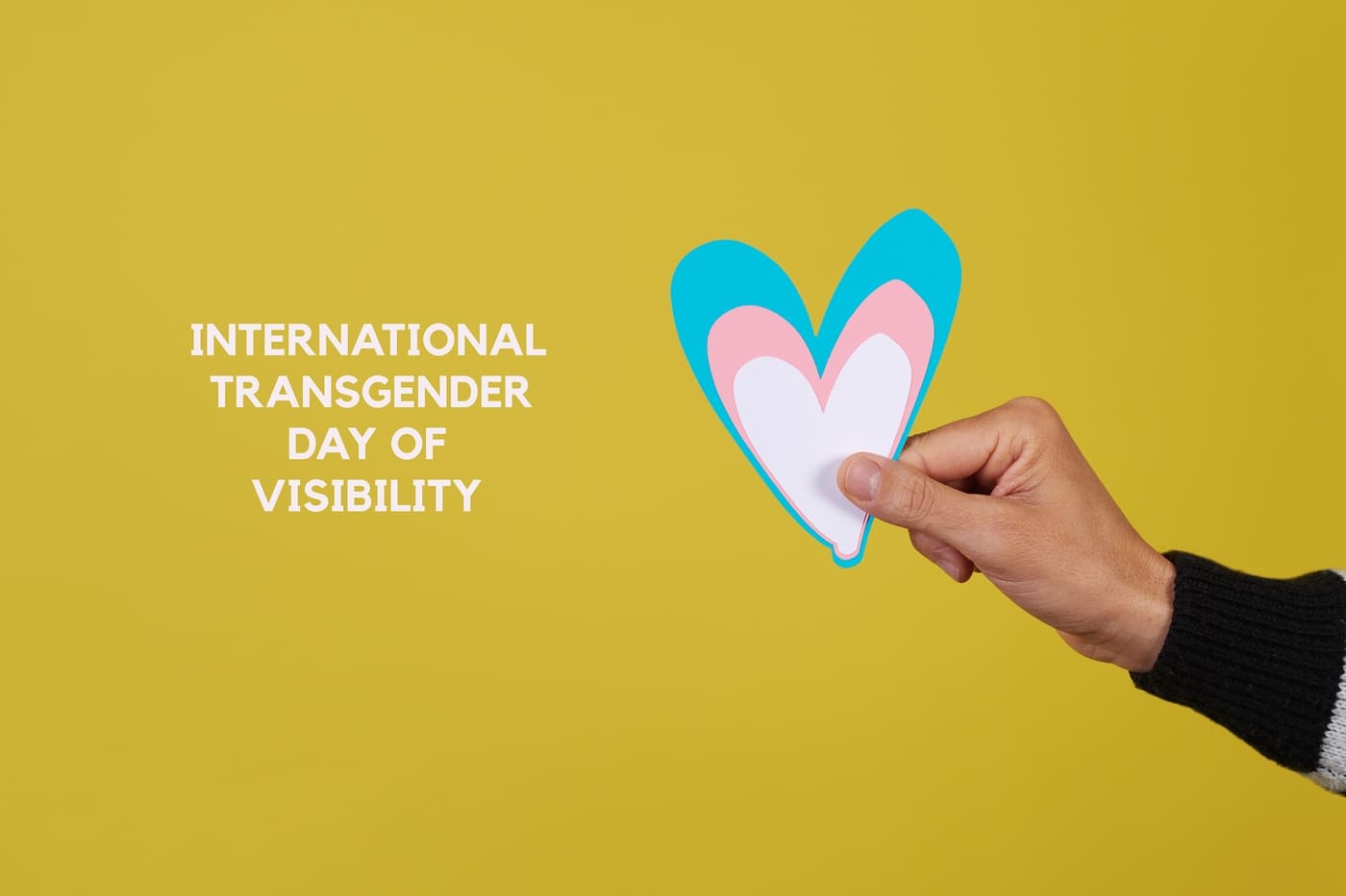 31 March International Transgender day of Visibility